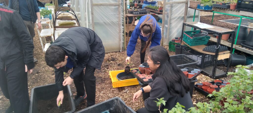 Fun at the Allotment - Rising Stars Hull
